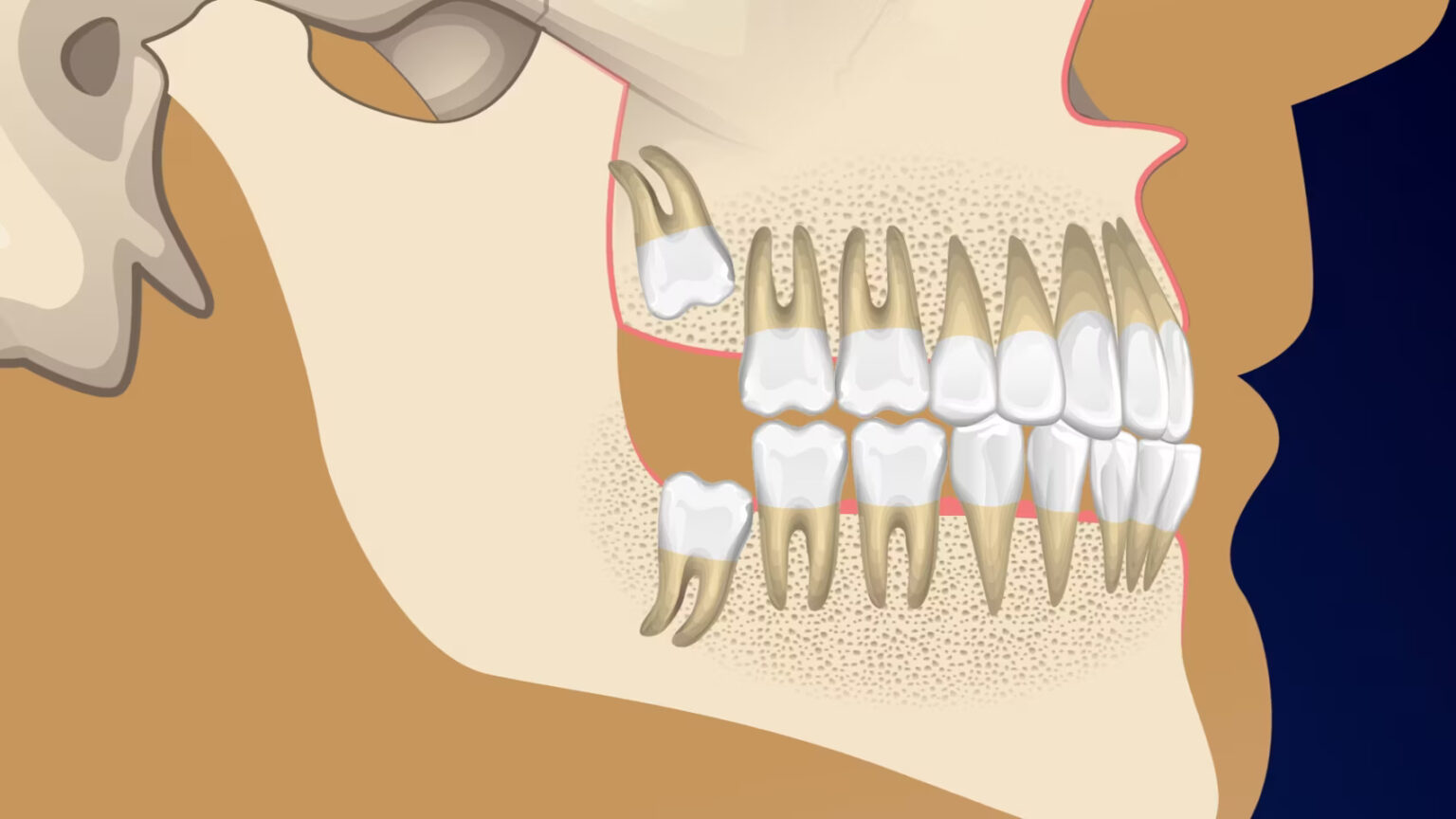 Patient Resources - Oral Surgery Michiana